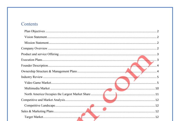 Develop a strategic business plan for you by Parklanesprofes | Fiverr